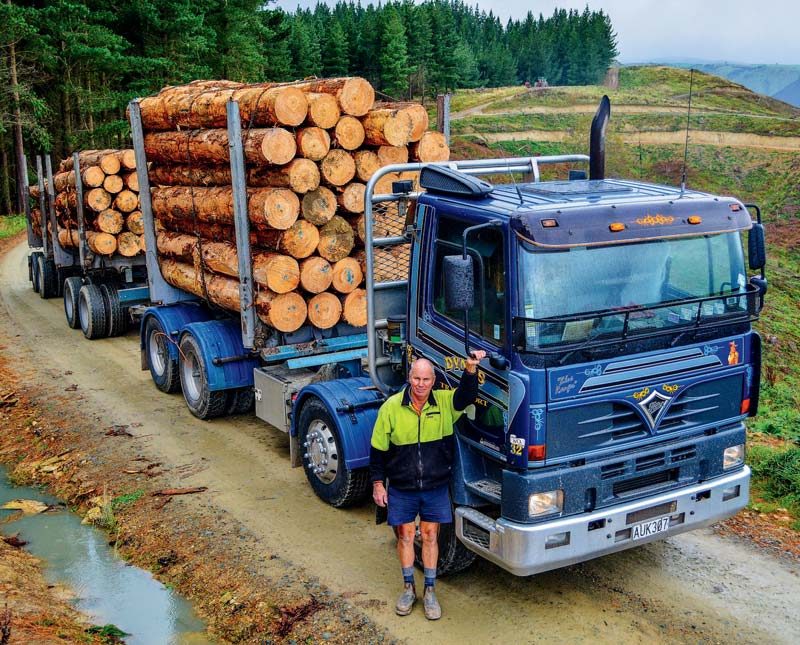 Logging Trucks At Work