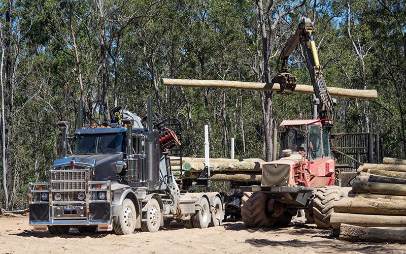 Dog-Logger steering towards success - NZ Trucking