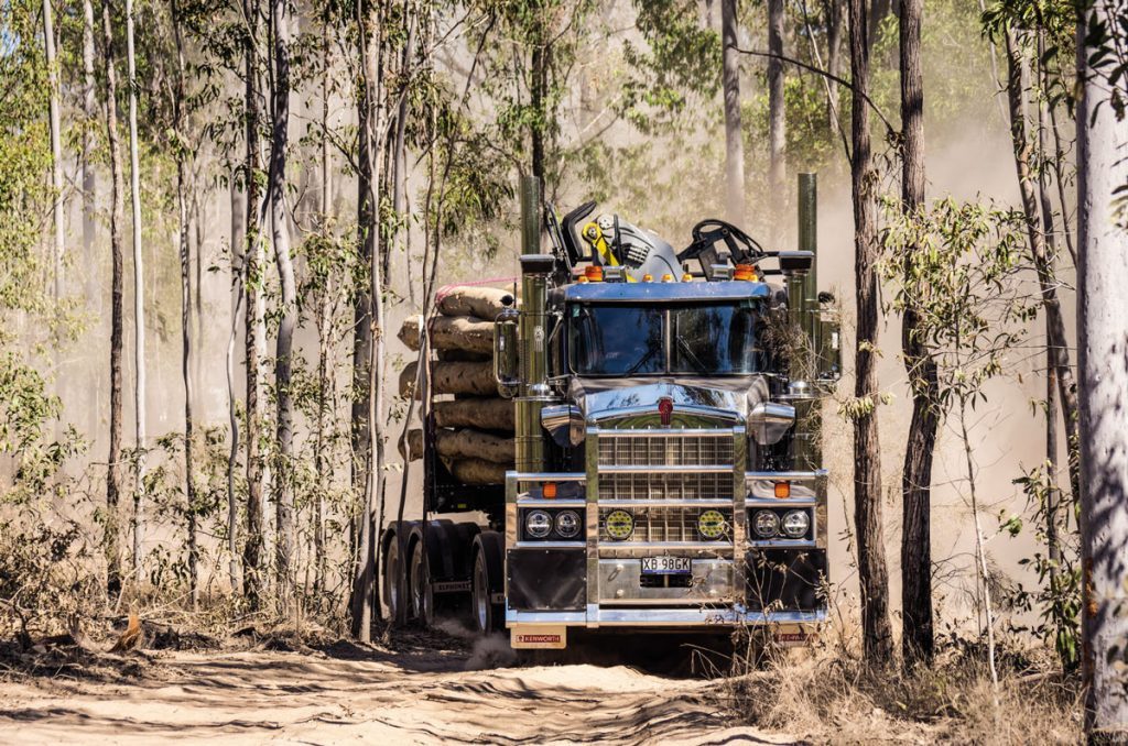 Dog-Logger steering towards success - NZ Trucking